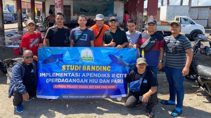 Dinas Kelautan dan Perikanan Aceh Berangkatkan Pedagang Hiu ke NTB, Ini ...