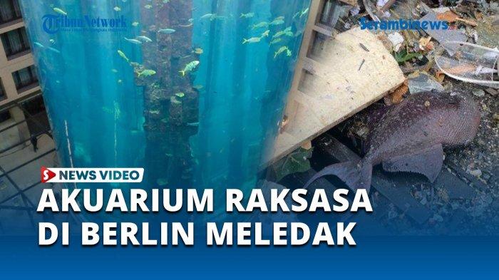 VIDEO Akuarium Terbesar di Dunia Meledak, 1.500 Ikan Lepas Ke Jalanan ...
