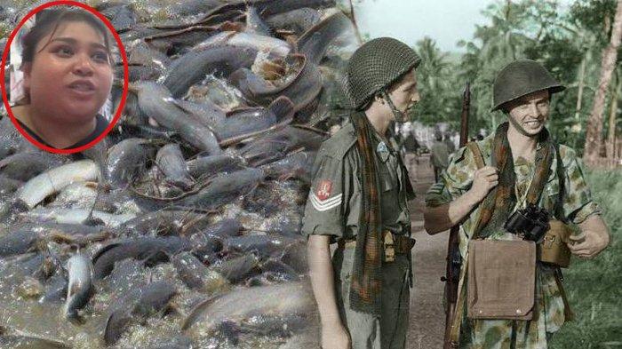 Alasan Wanita Ini Enggan Makan Lele Seumur Hidup: Ikan Penyelamat Kakek ...