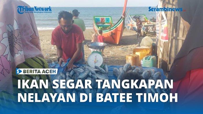 VIDEO -Ikan Segar Hasil Tangkapan Nelayan di Batee Timoh Jeumpa Bireuen ...