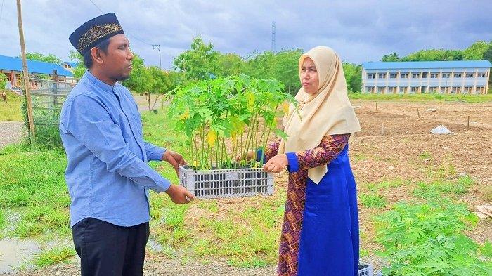 Perkuat P5 Kurikulum Merdeka, Plt Kadisdikbud Aceh Besar Serahkan Bibit ...