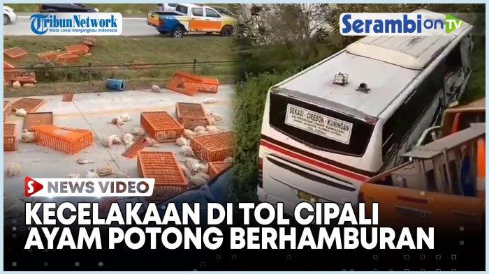 VIDEO Bus Primajasa dan Truk Pengangkut Ayam Potong Kecelakaan di Tol Cipali KM 92 - Serambinews.com