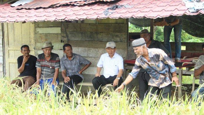 Cabup Salman Alfarisi Dengar Langsung Curhat Sedih Petani di Kuala ...