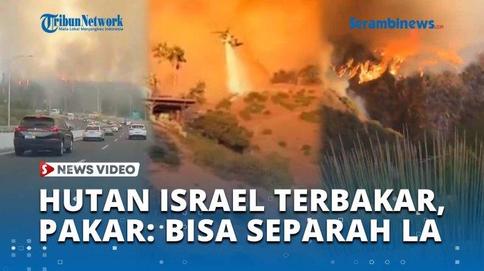 VIDEO Cuaca Ekstrem Bakar Hutan, Israel Dikepung Api! Bakal Separah ...