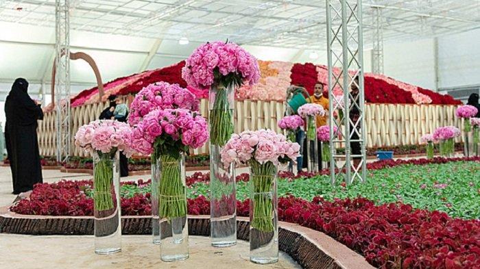 Kota Pegunungan Taif Gelar Festival Bunga Mawar, Hasilkan Parfum Paling ...