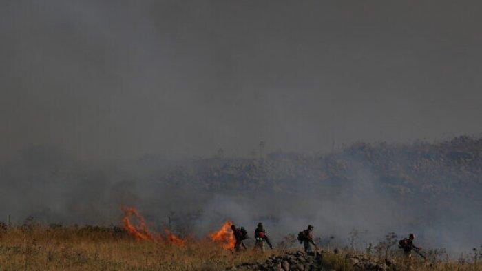 Tembakan Roket Hizbullah Bikin Israel Panik, Bakar 2.471 Ha di Utara ...