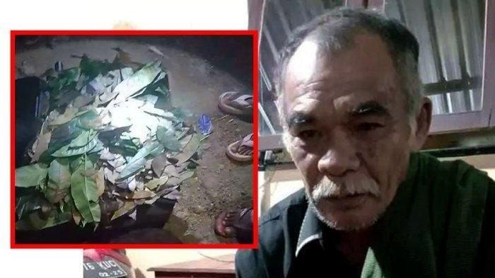 Kisah Pilu Rosdiana Janda Muda Dilamar Pria Tua, Diberi Mahar Rp 3 M, Ternyata Isi Koper Daun ...