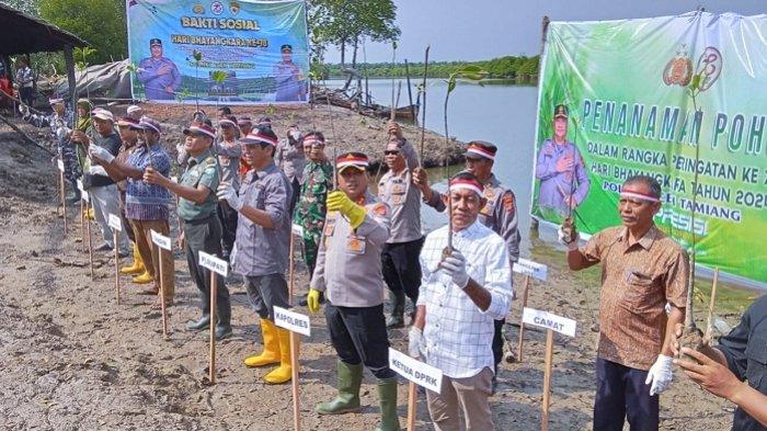 Peringati Hari Bhayangkara Ke-78, Polres Aceh Tamiang Tanam Seribu Mangrove di Seruway ...