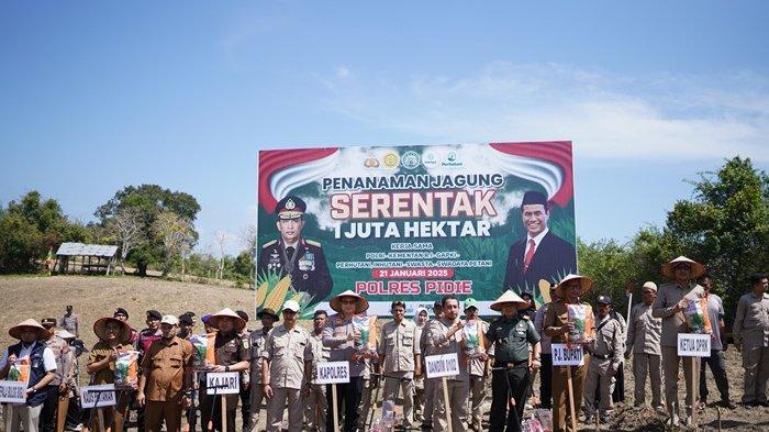 Dukung Swasembada Pangan Nasional 2025, Kapolres Pidie Tanam Jagung di Lahan 3 Hektare ...