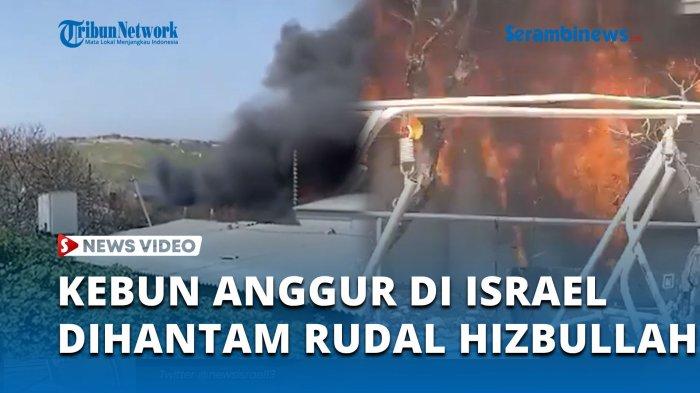 VIDEO Kebun Anggur di Avivim Israel Utara Terbakar Dihantam Rudal ...