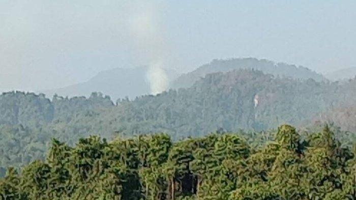 Titik Api Masih Terlihat di Kawasan Hutan Lindung Aceh Tamiang, Diduga Akibat Pembukaan Lahan ...