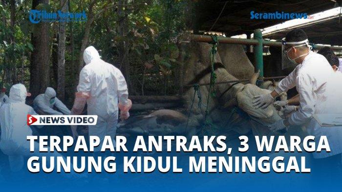 VIDEO Konsumsi Daging Sapi yang Sudah Dikubur, 3 Warga di Gunung Kidul Meninggal Dunia ...