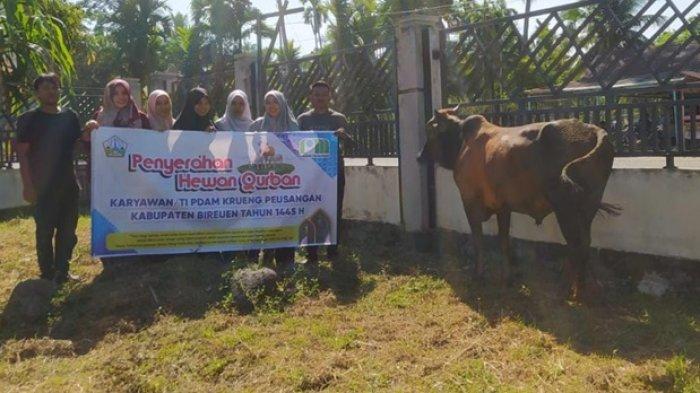 PDAM Krueng Peusangan Bireuen Serahkan 15 Sapi Kurban kepada Desa Sumber Air Atau Aliran Sungai ...