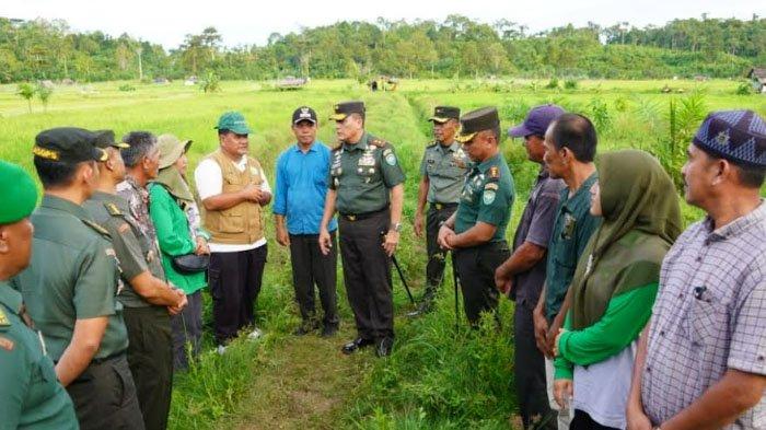 Pangdam IM Tinjau Program Optimalisasi Lahan di Simeulue - Serambinews.com