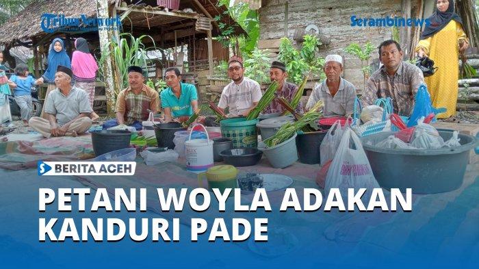 VIDEO Petani Woyla adakan Kanduri Pade dengan Meuatam dan Seuprek ie ...
