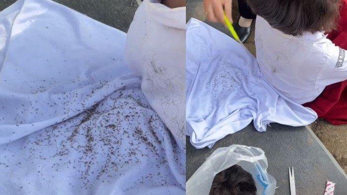 Merinding! Sering Garuk-Garuk Kepala, Ternyata Guru SD Ini Temukan ...