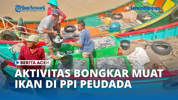 VIDEO - Kesibukan di Pangkalan Pendaratan Ikan Peudada Bireuen ...