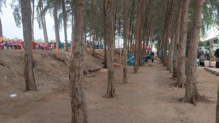 Melihat Indahnya Pantai Cemara Gandapura Bireuen, Lokasinya di Desa ...