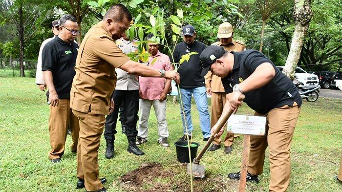 Almuniza Tanam Jeumpa dan Seulanga di Hutan Kota, Sukseskan Program Tahiroe - Serambinews.com