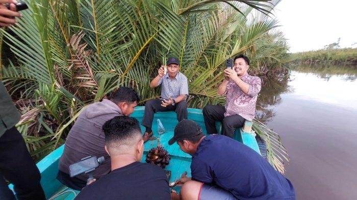 Melihat Pesona Pulau Sada di Rawa Nipah Aceh Barat - Serambinews.com