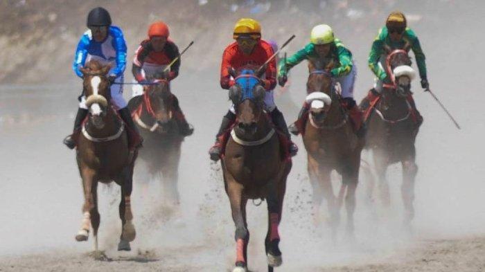 Pacuan Kuda di Aceh Tengah Tuai Pujian, KONI Pusat : Ngalahin Melbourne ...