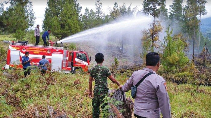 Api Lalap Kebun Serai Wangi - Serambinews.com