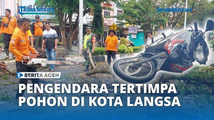 VIDEO - Dua Pengendara Sepmor Tertimpa Pohon Mahoni Tumbang - Serambinews.com