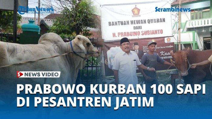 VIDEO Prabowo Kurban 100 Ekor Sapi ke Pesantren, NU, dan Muhammadiyah ...