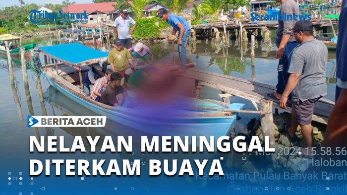VIDEO - Seorang Nelayan Meninggal Diterkam Buaya di Pulau Banyak Barat, Aceh Singkil ...