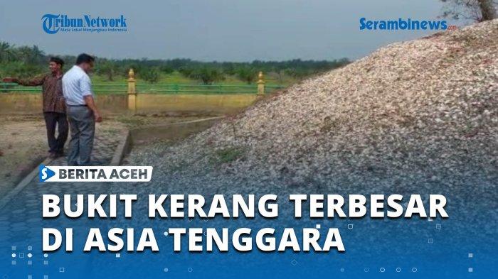 VIDEO Situs Bukit Kerang di Aceh Tamiang Satu-satunya di Asia Tenggara ...
