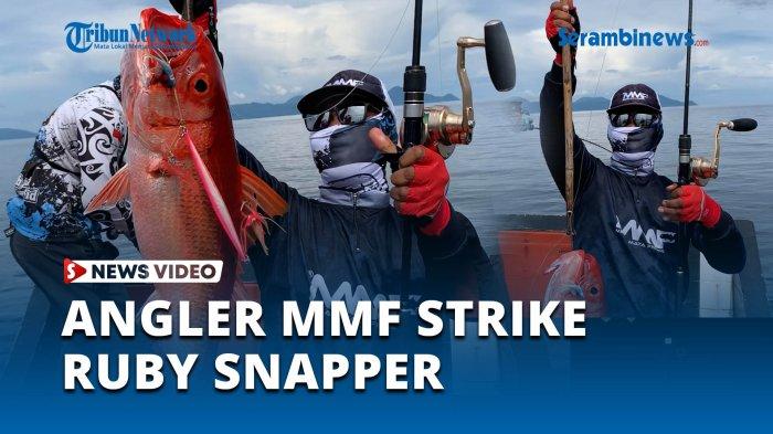 VIDEO Strike Ruby Snapper di Pulau Aceh, Begini Aksi Angler MMF Tarik Kurisi Merah Seberat 8 Kg ...