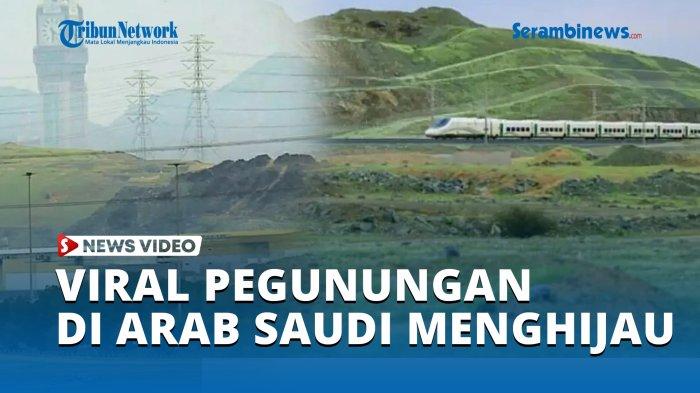 Kiamat Makin Dekat? Gurun di Arab Saudi Mulai Menghijau & Ditumbuhi ...