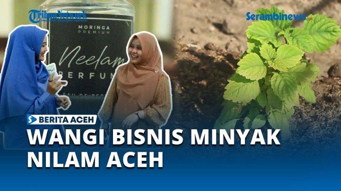 VIDEO Wangi Bisnis Minyak Nilam Aceh, Jadi Pemasok Bahan Baku Parfum ...