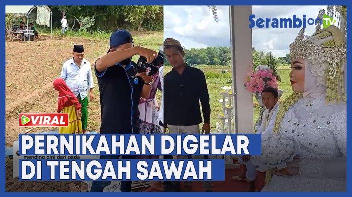 VIDEO - Viral Acara Pernikahan Digelar di Tengah Sawah, Fotografer Ungkap Kesulitan saat ...