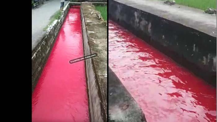 Air Sungai Merah Hebohkan Warga - Serambinews.com