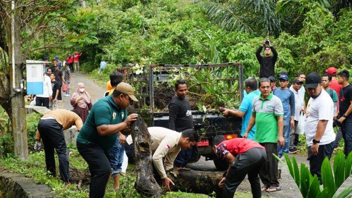 The Hill Side Glee Taron, Lokasi Aksi Satu Jam Bersih Lokasi Wisata ...