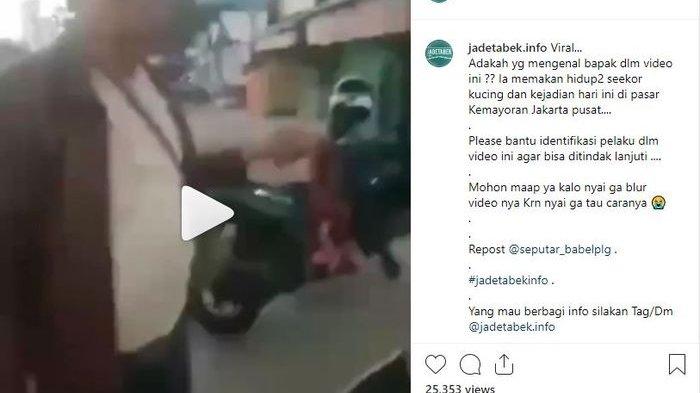 Viral Video - Seorang Bapak-bapak Makan Kucing Hidup-hidup, Pelaku Diburu Polisi - Serambinews.com