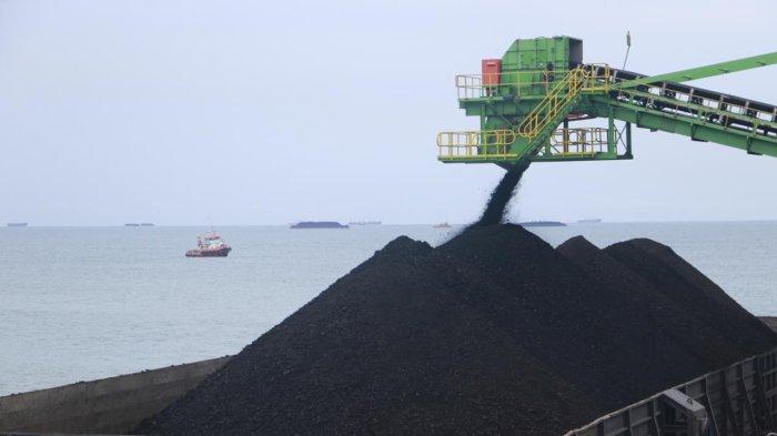 Operasional Perusahaan Tambang Batu Bara Kalori Rendah Semakin Sulit - Serambinews.com