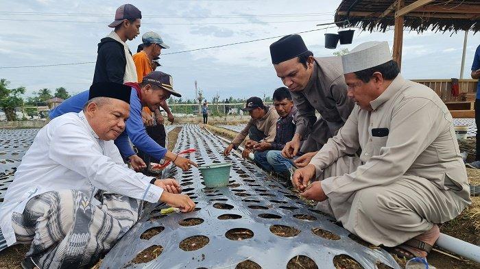 Terapkan Pola Tani Inti dan Plasma, Konsorsium Aceh Kembali Kembangkan ...