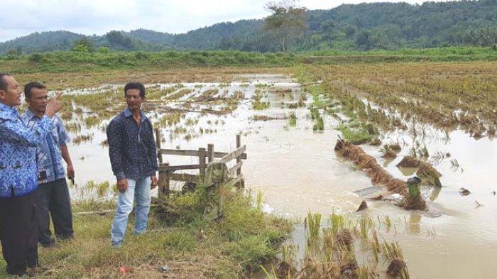 Embung di Bandar Baru Jebol - Serambinews.com