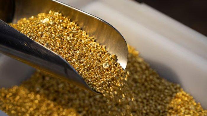 Harga Emas Dunia Hari Ini Stagnan, Berikut Penjelasannya - Serambinews.com