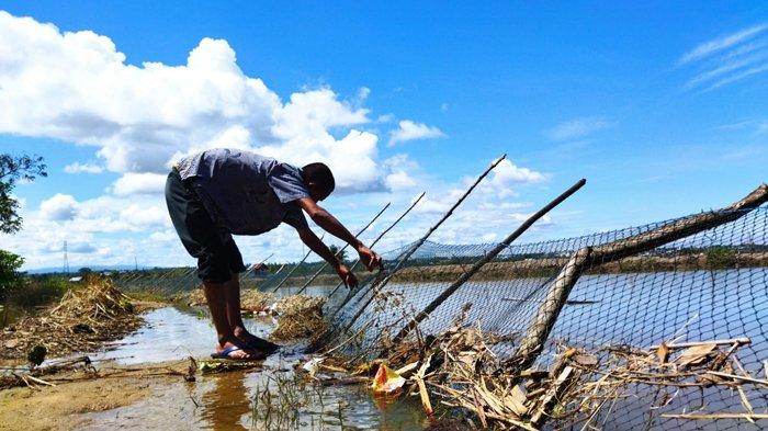 Dampak Banjir, Petani Tambak Udang dan Budidaya Ikan di Lhokseumawe Gagal Panen - Serambinews.com