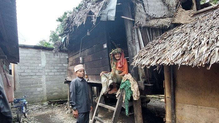 Nek Juriah Tinggal Sebatang Kara di Gubuk Reot, Lansia di Pidie ...
