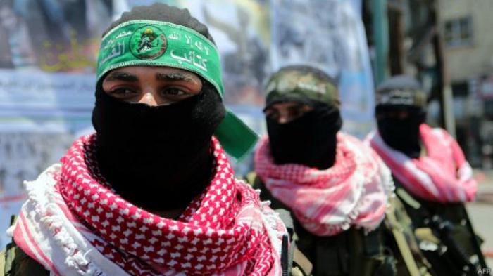 Tentara Israel Diserang Kucing Gurun hingga Luka-luka, Lingkungan ...