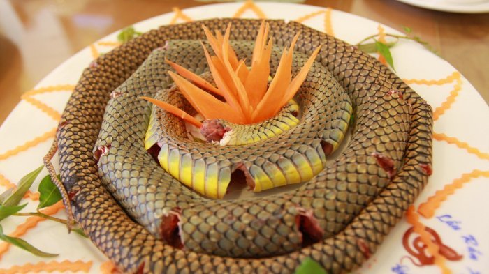 Dipercaya Punya Banyak Manfaat, Ular jadi Hidangan yang Populer di ...