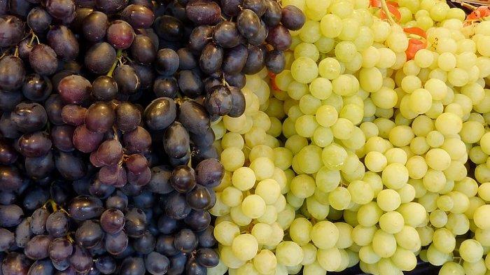 dr Zaidul Akbar Bagikan Cara Menghilangkan Bubuk Putih yang Menempel ...