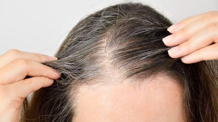 Tips Cara Menghitamkan Rambut Beruban Menggunakan Jeruk Nipis ...