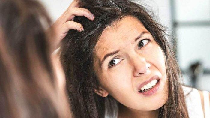 6 Tips Merawat Rambut Kering Menurut Pakar, Bisa Dicoba Sendiri di ...