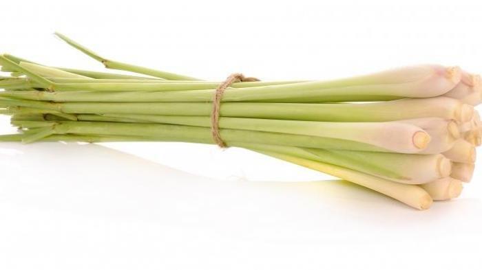 Ternyata, Air Rebusan Serai, Turunkan Kolesterol hingga Redakan ...