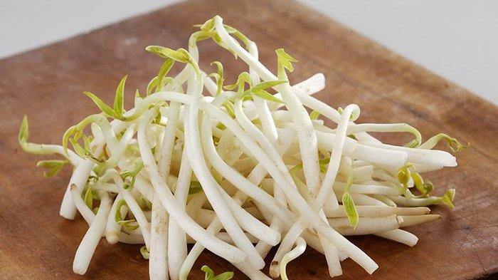 Dianggap Bagus untuk Kesuburan, Ternyata Makan Tauge dengan Cara ...